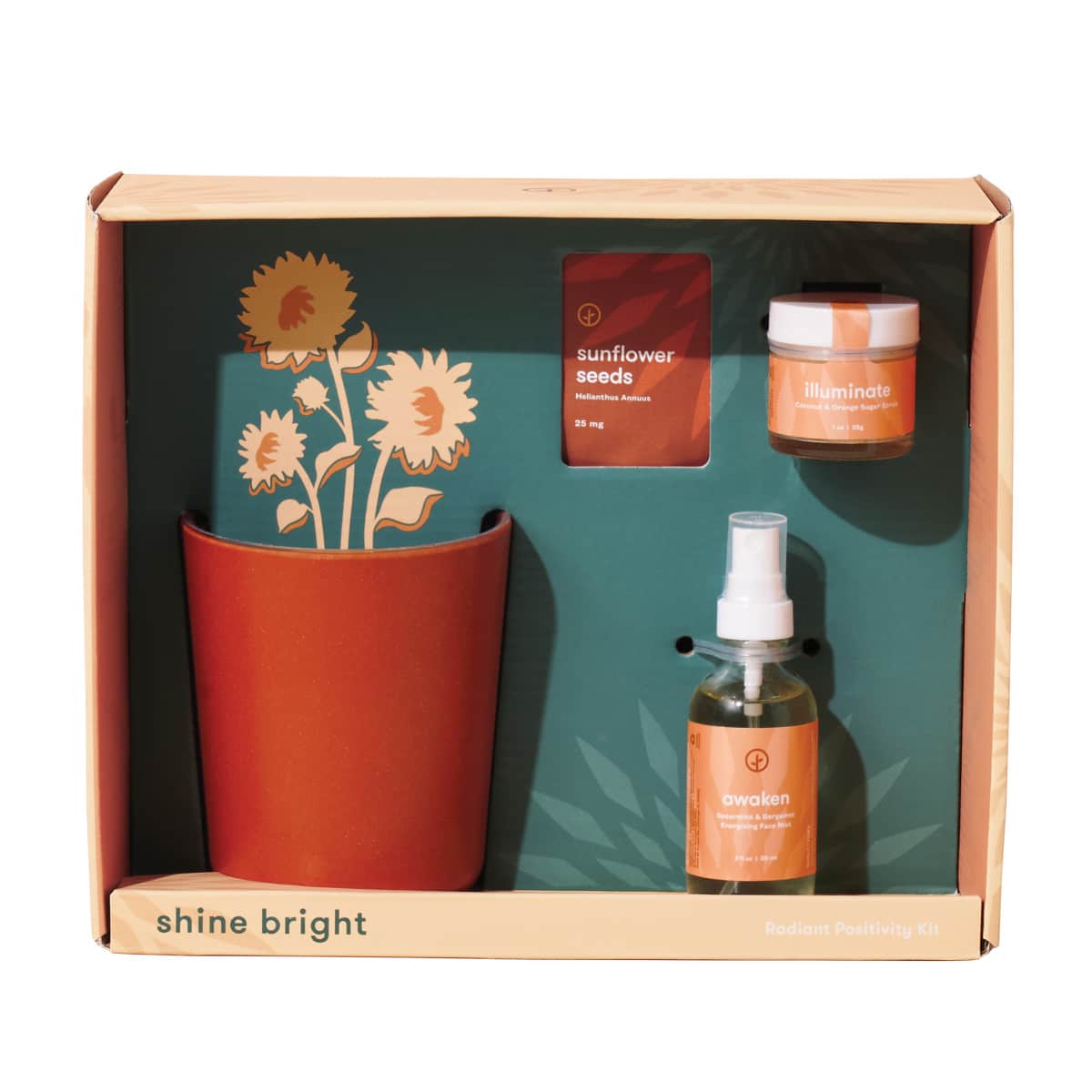 Modern Sprout® Shine Bright Take Care Kit – Sunflower – Shine Bright ...