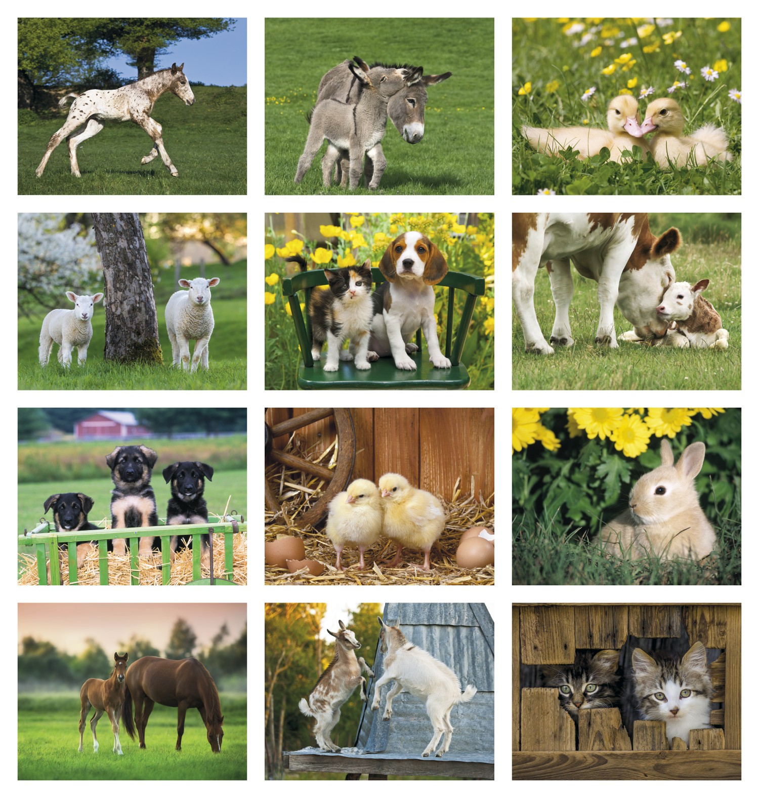 Baby Farm Animals – Stapled – Swag Made in the USA