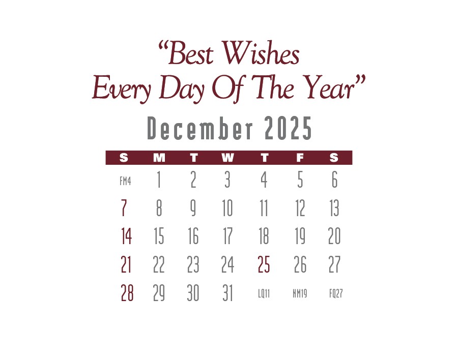 Triumph® Calendars Press-N-Stick Contemporary Calendar – Swag Made in ...